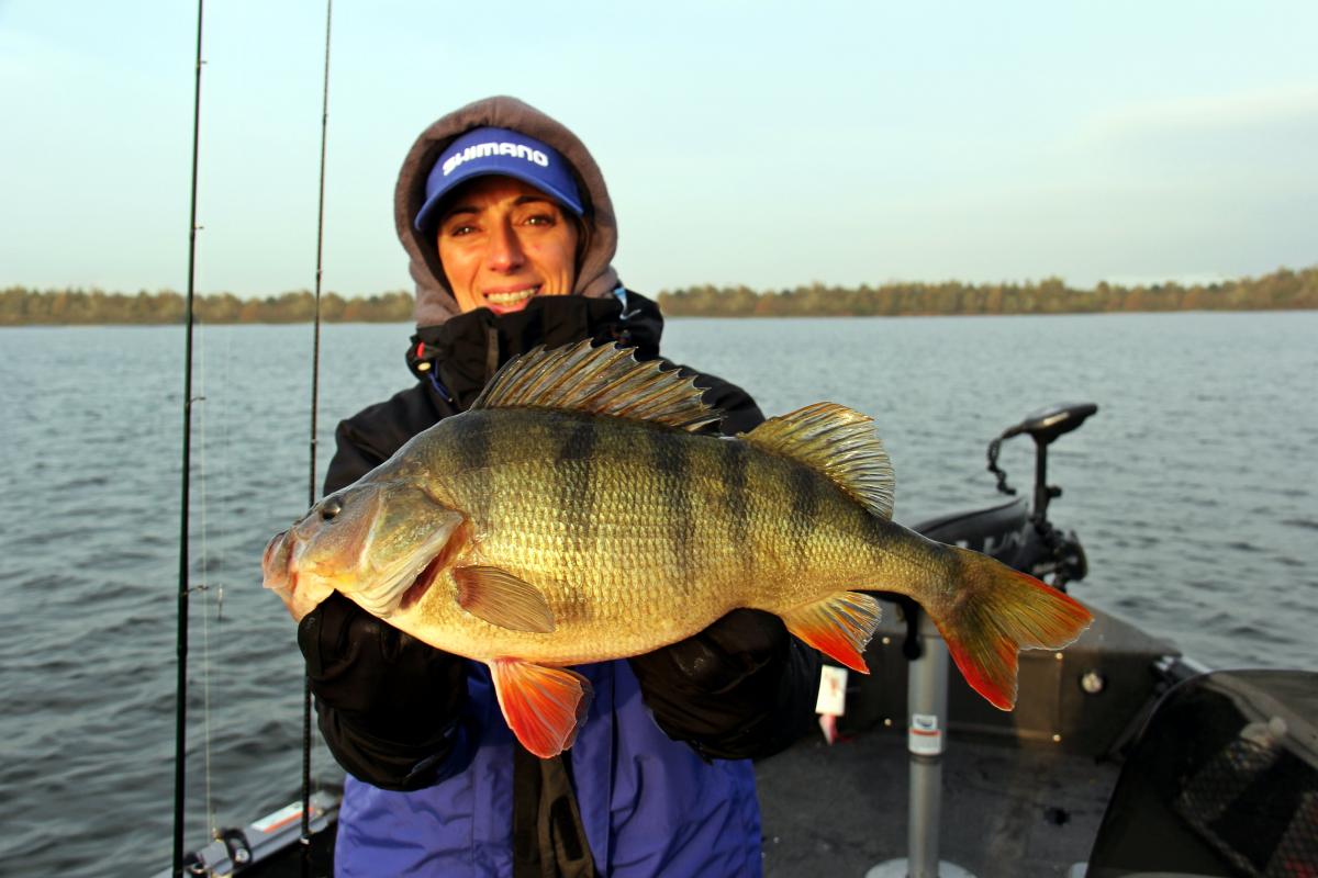 Galerie – Benoit Degraux – Predator Fishing Experience